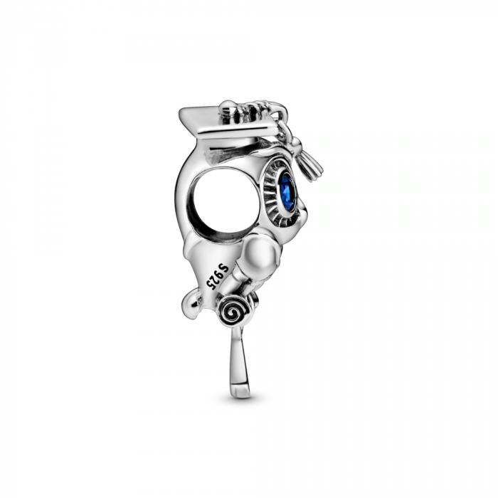 Wise Owl Graduation Charm – Stylee